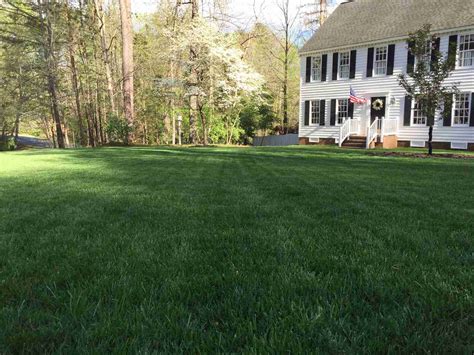 Lawn Care By Prestigious Prestigious Turf Management