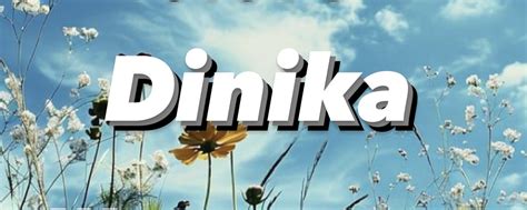 DINIKA - Магазин женской одежды Калининград | 29 лет в индустрии моды ...
