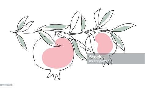 석류와 잎이있는 가지 샤나 토바 현대 단일 라인 아트 드로잉입니다 연속 선 그리기 윤곽선 그리기 디자인 벡터 그림 가을에 대한 스톡 벡터 아트 및 기타 이미지 Istock