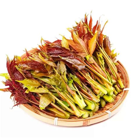头茬香椿新鲜现摘红油香春芽叶野生椿芽菜红云南时令蔬菜嫩芽鲜香 Tmall 花瓣网