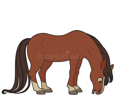 Nibbling Cartoon Stock Illustrations 206 Nibbling Cartoon Stock