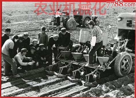 知青科学种田！泛银老照片敦煌飞天追梦苑【7788收藏收藏热线】