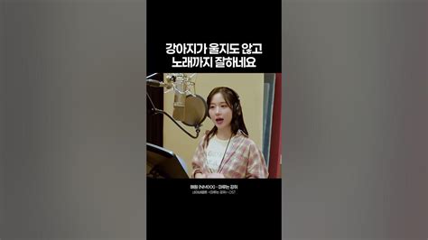 강아지가 울지도 않고 노래까지 잘하네요🐶 마루는강쥐 마루는강쥐ost 해원 Nmixx Youtube