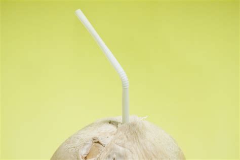 야생의 생코코넛이 편의점에 들어왔다