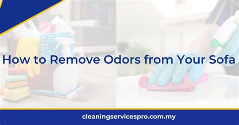 How To Remove Odors From Your Sofa