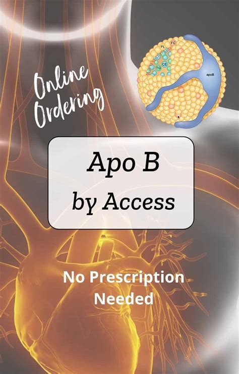 Apolipoprotein B Apo B Testing The Missing Piece In Cholesterol Assessment Nutriscape Net