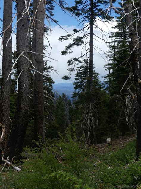 Pickett Peak Lookout