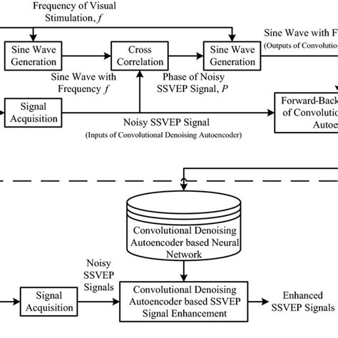 The Block Diagram Of The Proposed Cdae Based Ssvep Signal Enhancement