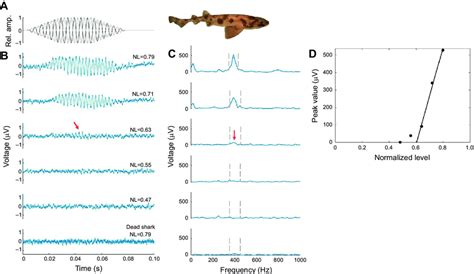 Threshold Determination Of Shaker Generated Aep Waveforms With