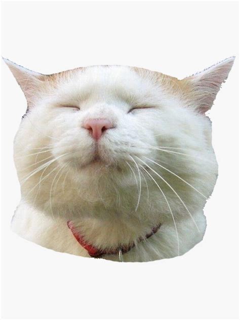 Cat Sticker By Emerbelle Redbubble
