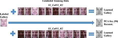 Semi Supervised Sparse Representation Based Classification For Face
