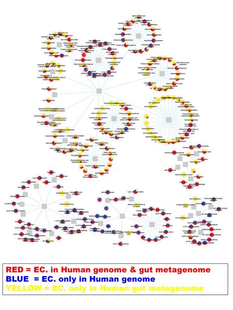 16 Best Genomic Visualization Images On Pinterest Genetics Data