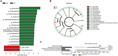 Differential Microbiota Identification And Function Prediction A Download Scientific Diagram
