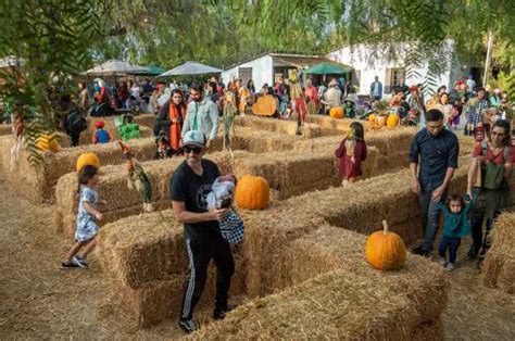 Oc Parks Returns With Fall O Ween Orange County Register