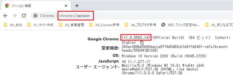 【vba】ブラウザを自動化する【seleniumbasic】 現場で使える！ Excelvba実践ガイド