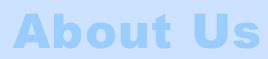 About Advanced International Translations