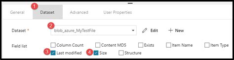 Azure Data Factory Get Metadata Activity Mitchellsql