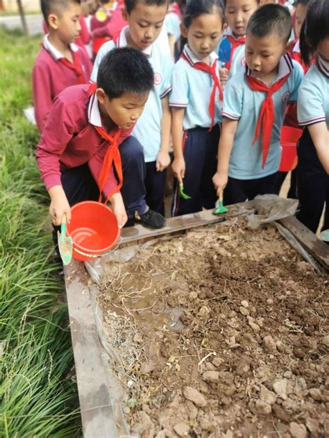 【队旗飘飘】县兴安小学：加强自身建设，深入推进少先队品牌活动红领巾