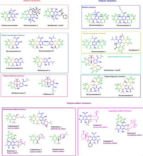 Structural Variation Of Acylphloroglucinols Download Scientific Diagram