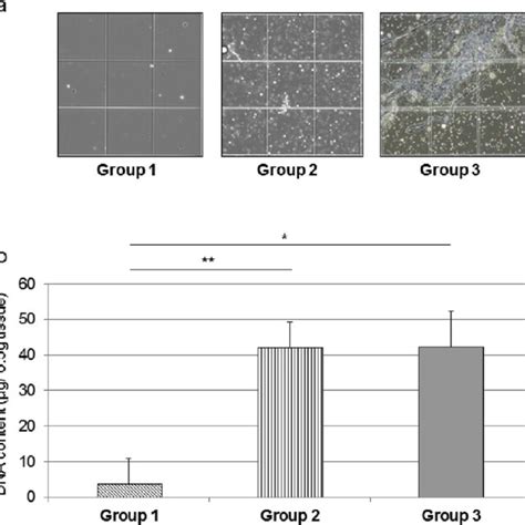 Evaluation Of The Filter Processing Effect On Cell Containing Fluids