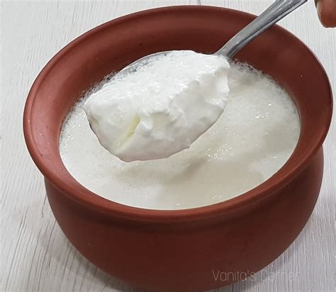Curd Making Dahi How To Make Curds At Home Vanita S Corner
