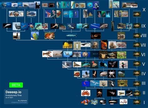 Evolution Tree But Real R Deeeepio