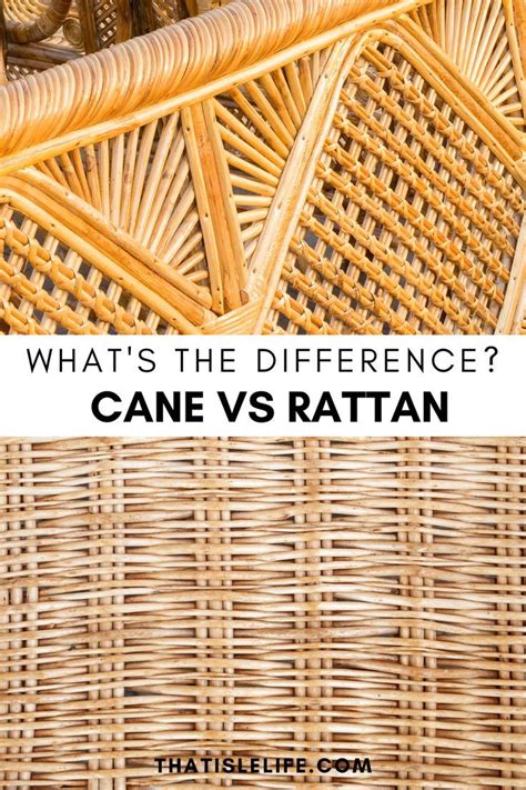 Cane Vs Rattan Understanding The Difference In Home Decor