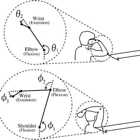 Muscle Torque Impulse MUSIm Interaction Torque Impulse INTIm Net Download Scientific