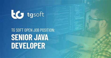 Senior Java Developer Tg Soft