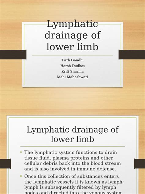 Lymphatic Drainage Of Lower Limb Explained Pdf Lymph Lymphatic System