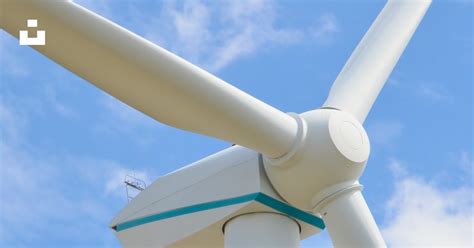 낮에는 푸른 하늘 아래 흰색 금속에 흰색과 회색 새가 서 있습니다 사진 Unsplash의 무료 에너지 이미지