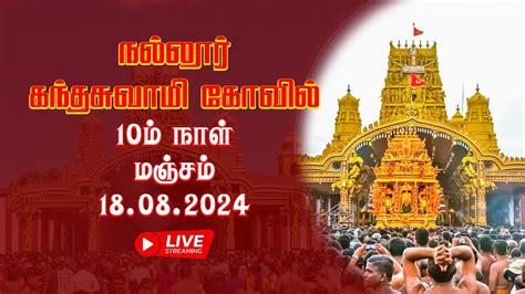 🔴live நல்லூர் கந்தசுவாமி கோவில் 10ம் நாள் மாலை மஞ்சம் 18 08 2024