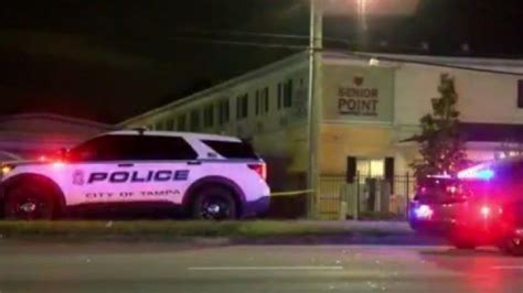 Vehicle Hits Kills Pedestrian On Hillsborough Ave In Tampa Wfla