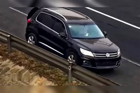夫妻俩高速路口惊现神操作，没有监控，谁会相信这一幕