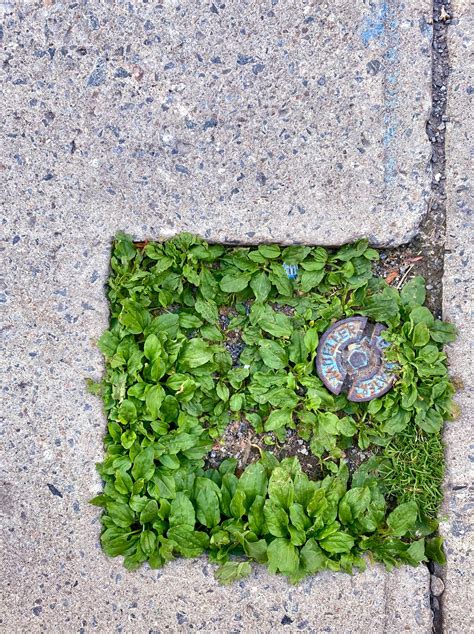 Square Root 123 Photos Download The Best Free Square Root 123 Stock