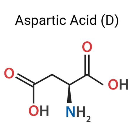 Amino Acids Functions Roles And Structures Assay Genie