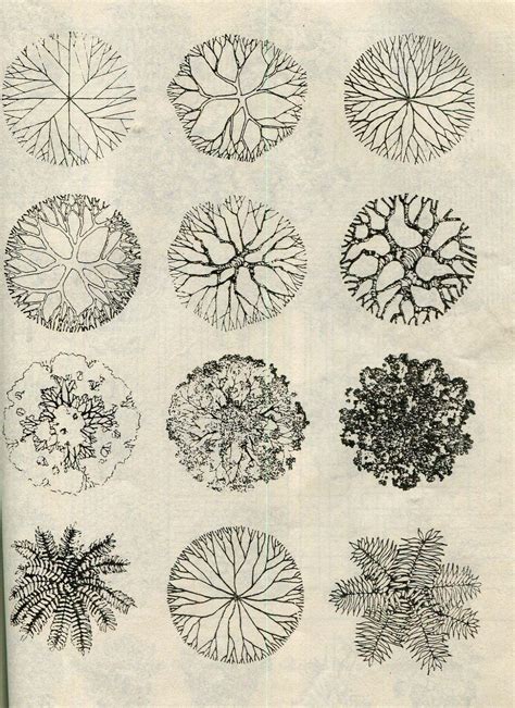 Ghim Trên 나무 그리기 Kiến Trúc Cảnh Quan Nhật Ký Nghệ Thuật Mỹ Thuật