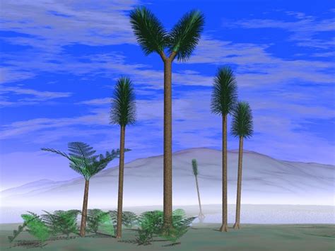 Life Before The Dinosaurs Sigillaria