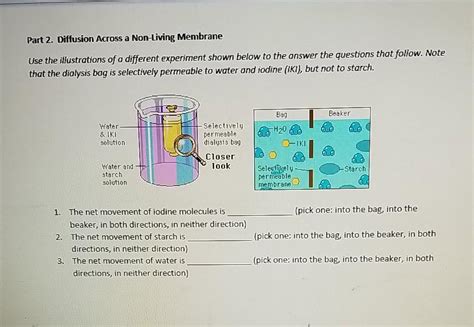 Solved Diffusion And Osmosis Post Lab Directions Answer The Chegg