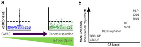 Strategies To Increase Prediction Accuracy In Genomic Selection Of