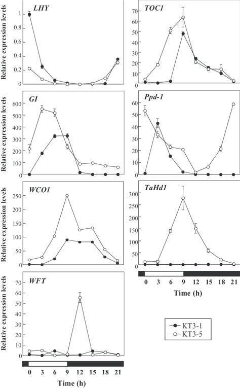 Gene Expression Profiles Of Circadian Clock And Photoperiod Response