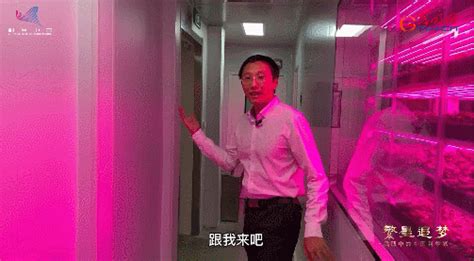 科普中国繁星追梦种菜也玩高科技？和科学家一起探秘植物工厂四川在线
