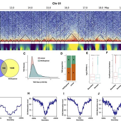 TAD Profiles In V Mungo A An Example Region From V Mungo Genome