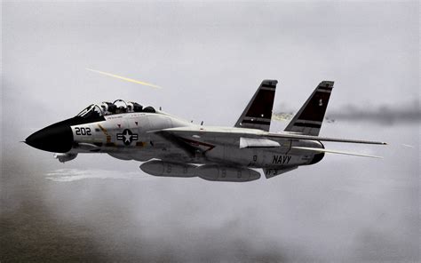 F 14 Tomcat Junglekey Fr Image 150