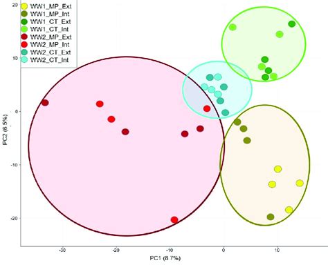 Two Dimensional Principal Component Analysis PCA Including All