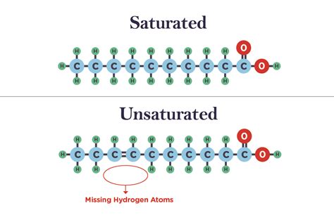 Saturated Vs Unsaturated Fats Know The Difference Grwzc