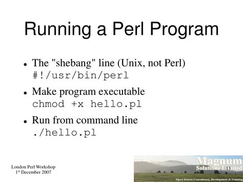Ppt Beginners Perl Powerpoint Presentation Free Download Id 6869468