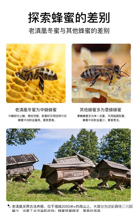 纯正天然香格里拉冬蜜 知乎