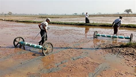 သဲကုန်းမြို့နယ်၌ နွေစပါး Drum Seeder တိုက်ရိုက်မျိုး စေ့ချကိရိယာဖြင့် နွေစပါးစိုက်ပျိုးခြင