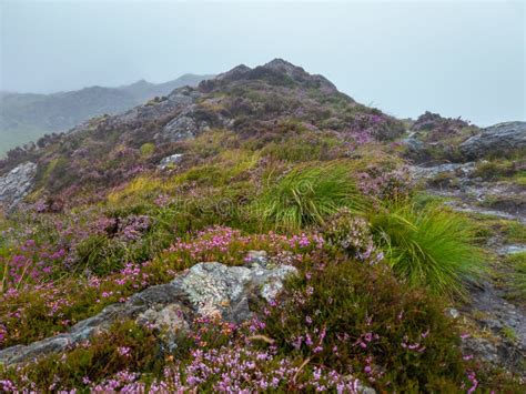 Cader Idris Mountain With Lake Near The Town Of Dolgellau In National